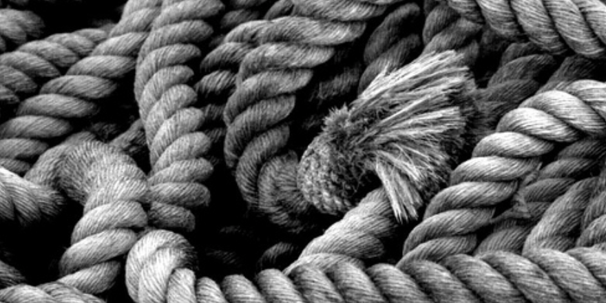 Knot Your Average Outing: Swing into Charleston's newest adventure with ...