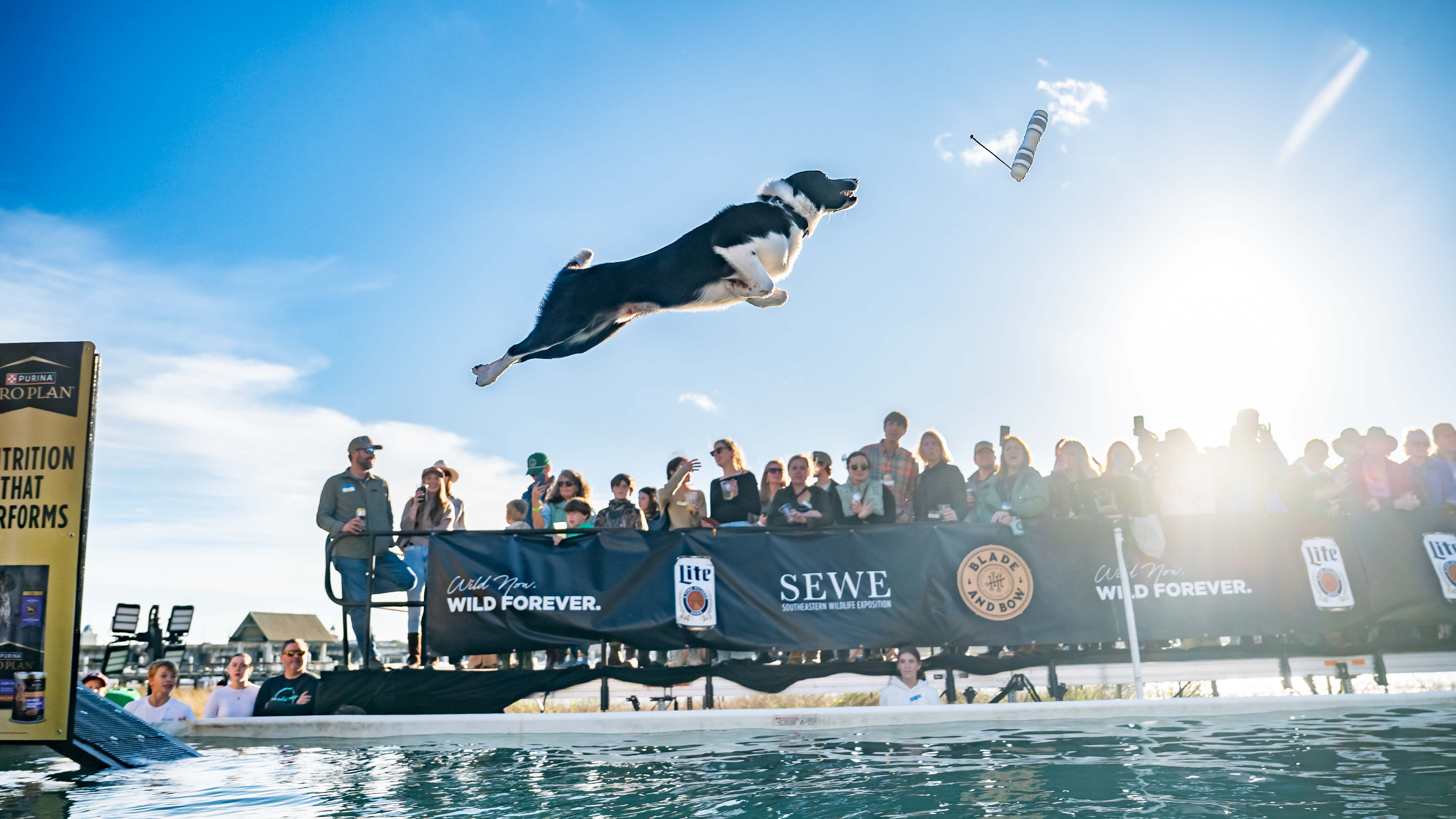 Southeastern Wildlife Exposition | Charleston Grit - Charleston, SC