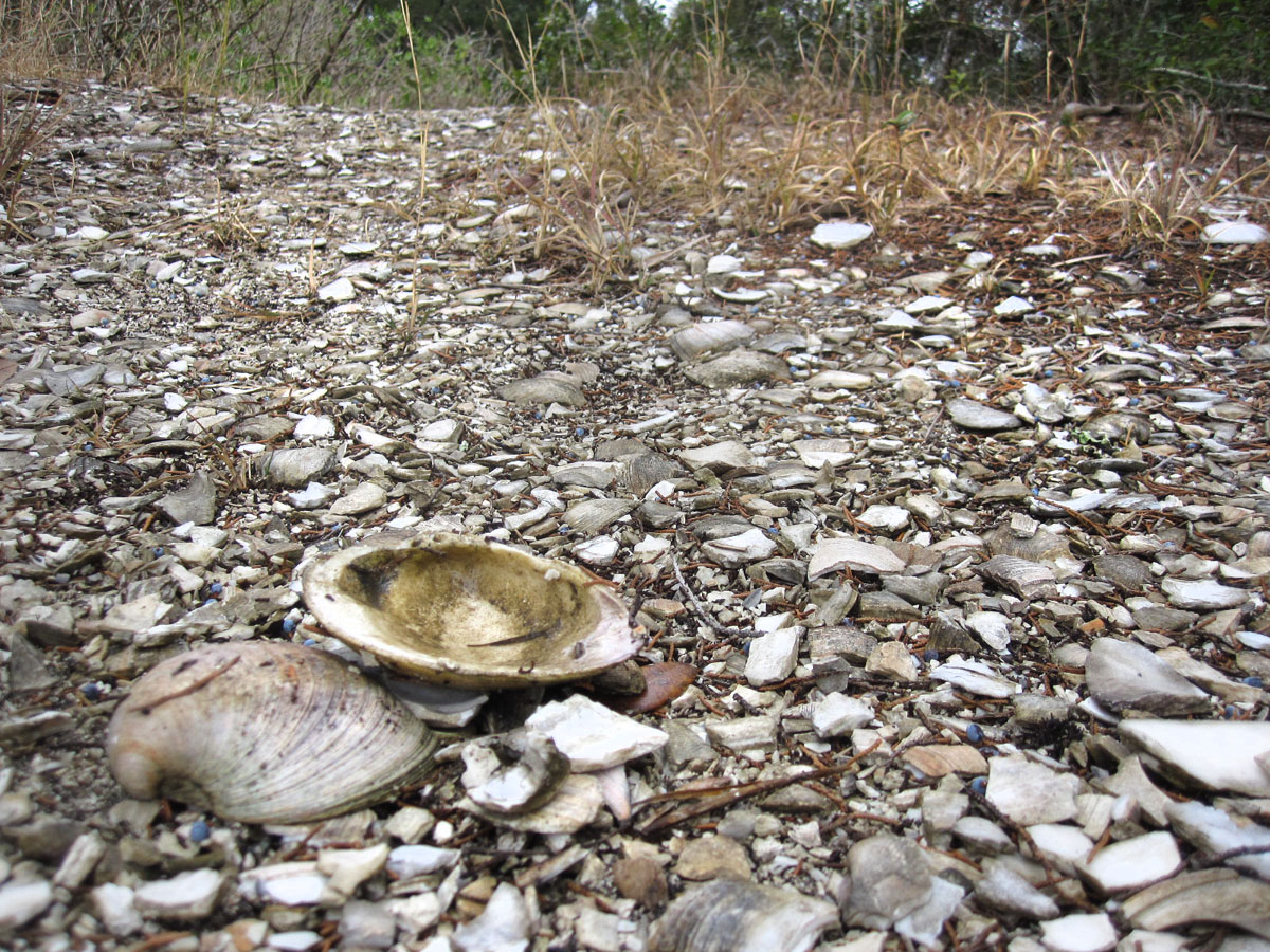 The Lowcountry's Largest Oyster Roast: Whispers of the past, adventures ...